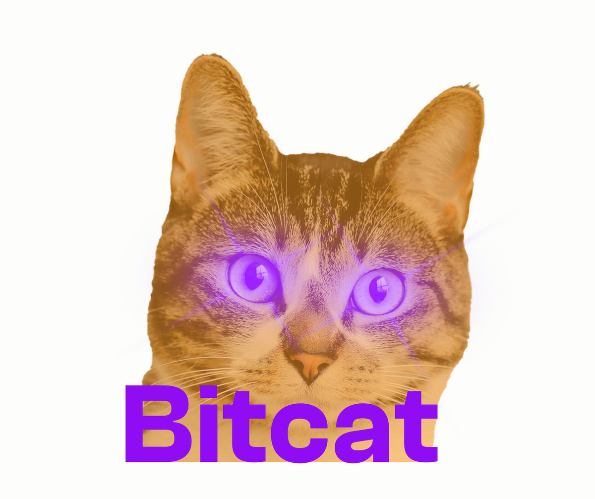 Bitcat – Bitcat – SatoshiStore.io