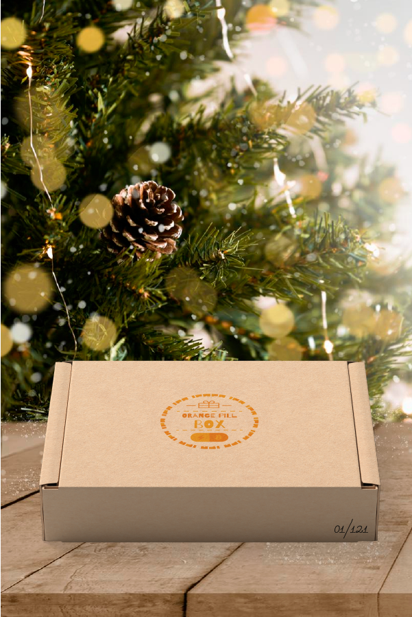 Orange Pill Box – SatoshiStore.io